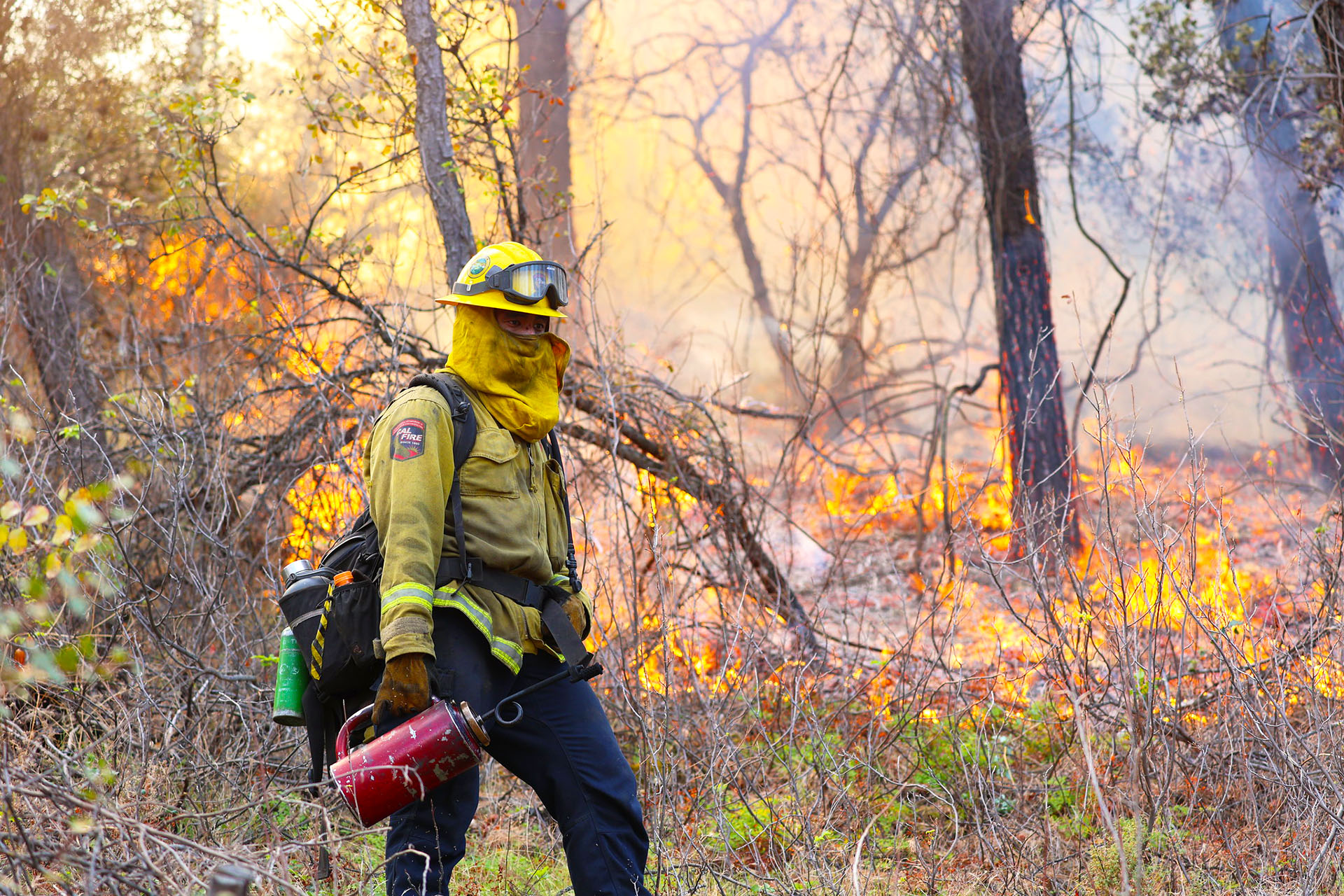 Home - Ready for Wildfire CAL FIRE Safety & Preparedness Tips