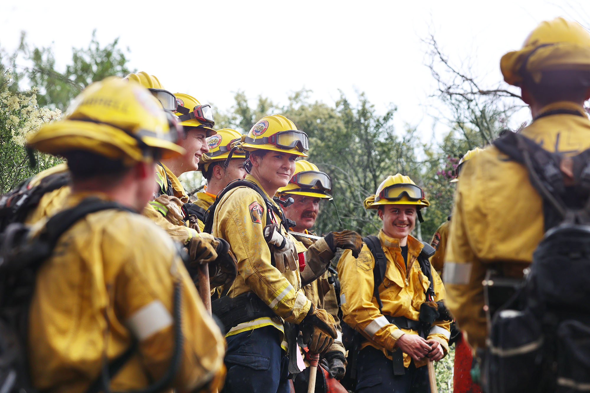 Additional Resources | Post-Wildfire Support | CAL FIRE