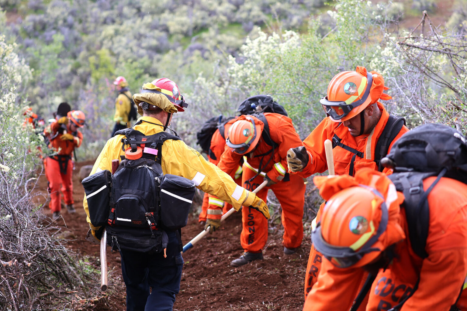 Post-Wildfire Recovery Assistance: Who Can Help? | CAL FIRE