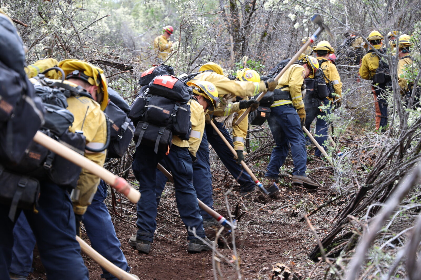 After A Wildfire: Recovery & Preparedness Guide | CAL FIRE