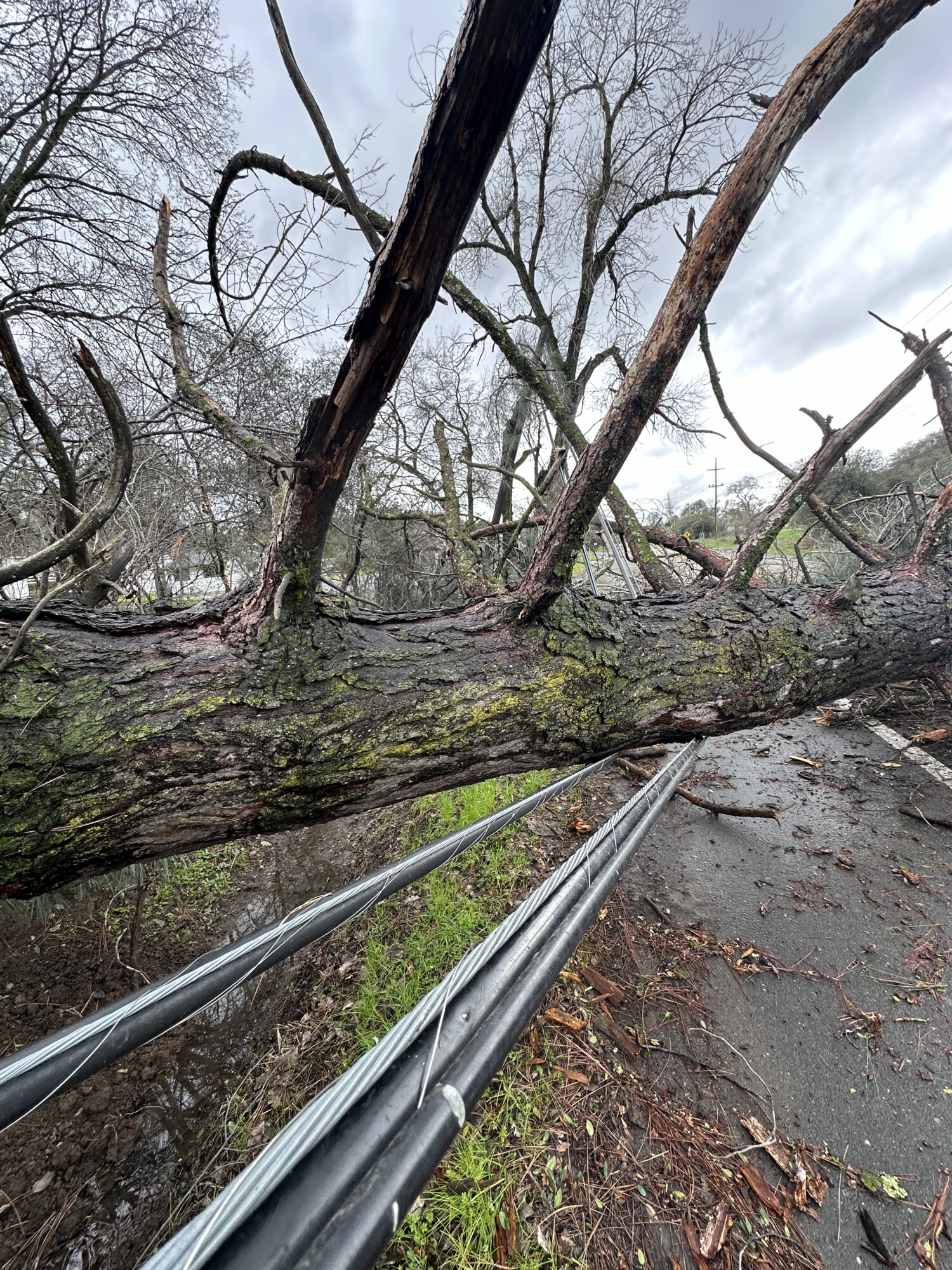 Post Wildfire - Ready for Wildfire