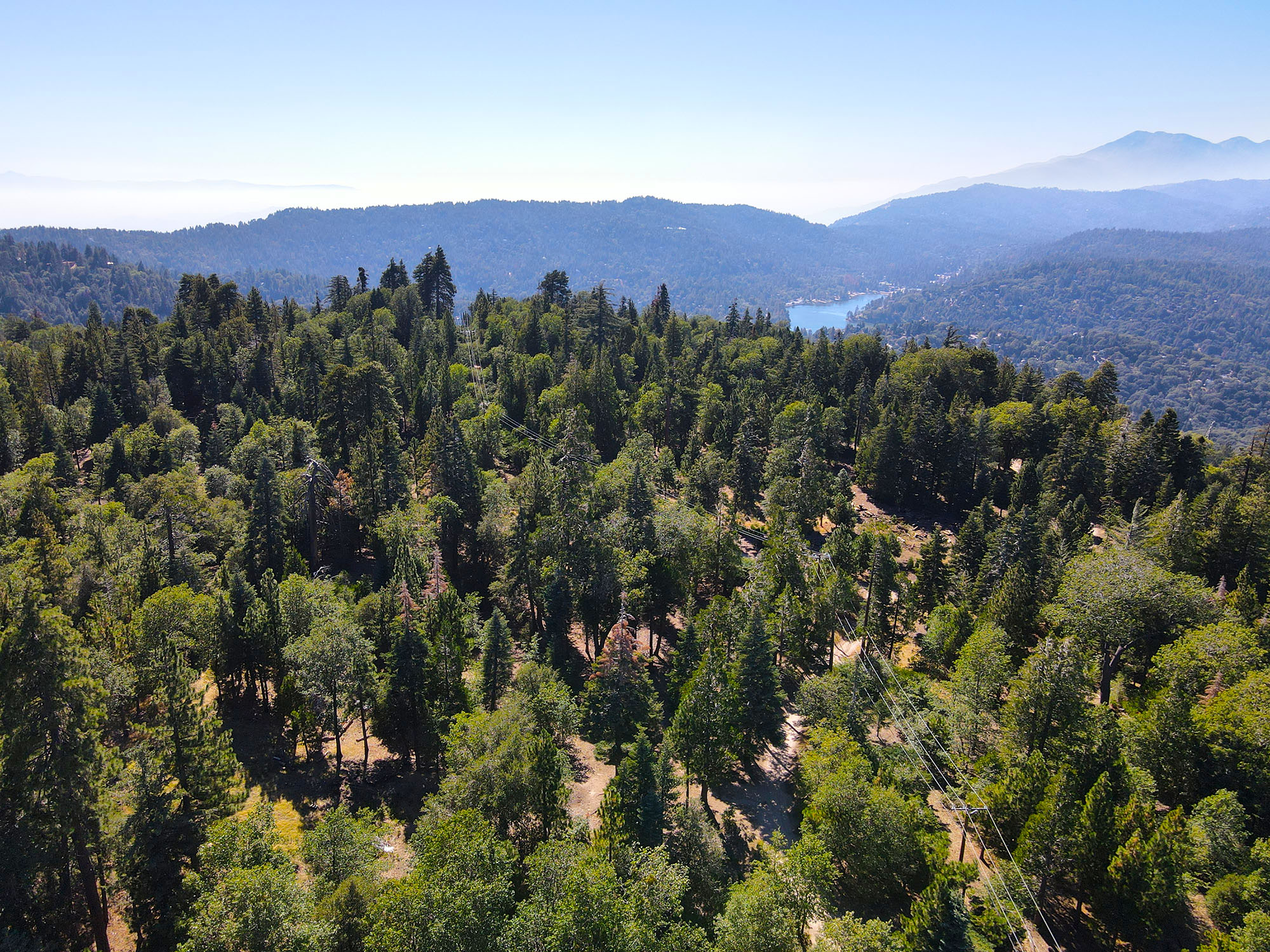 Seasonal Actions To Take For a Wildfire-Ready Home | CAL FIRE