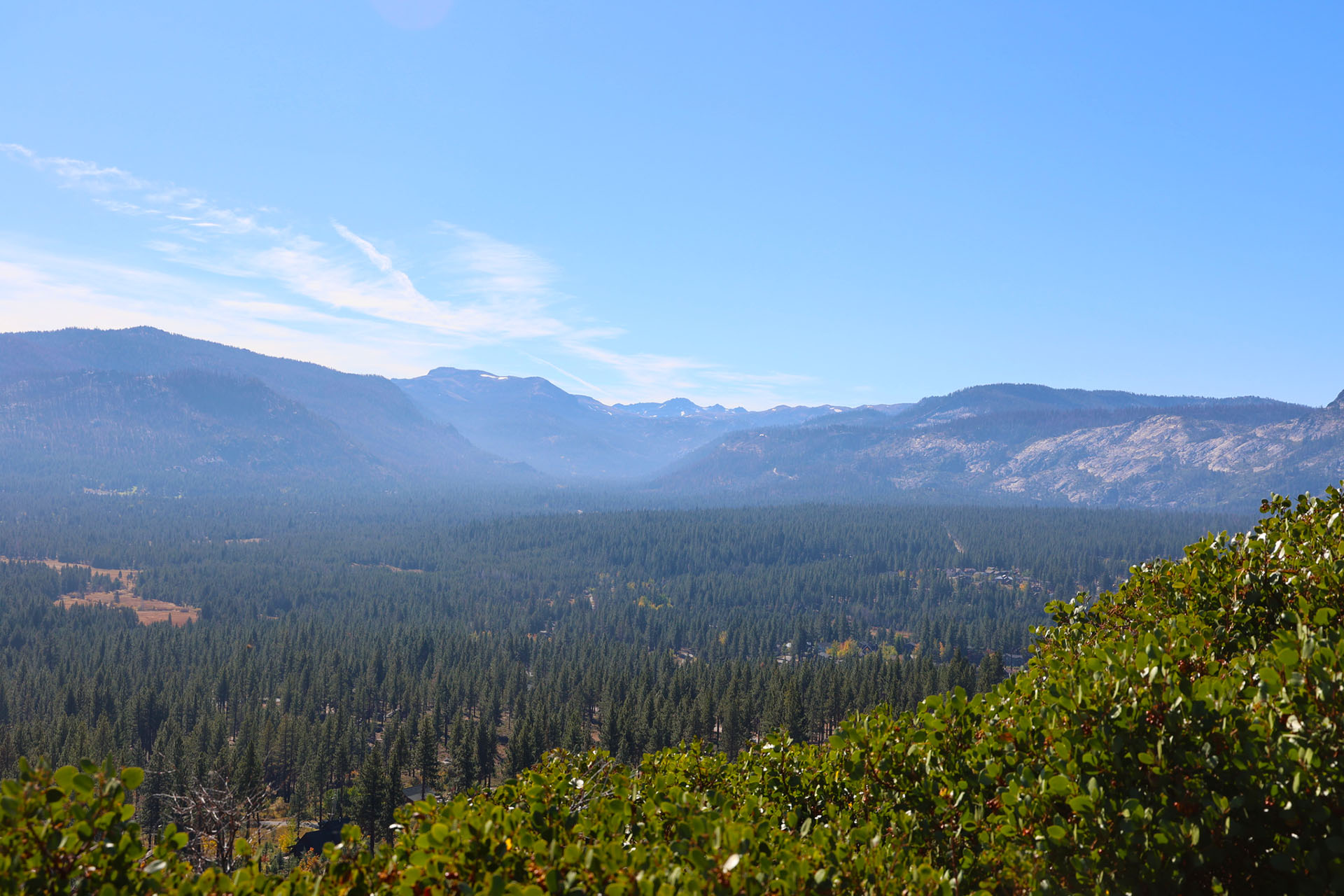 Why We Must Protect Healthy Forests In California | CAL FIRE