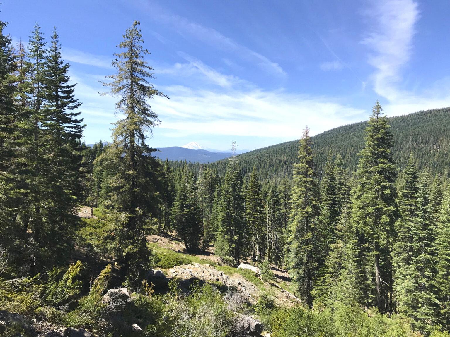 Permits - Ready for Wildfire