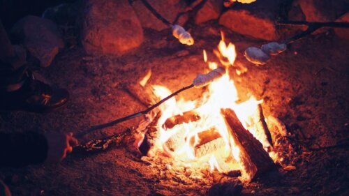 Campfire Safety Essentials For Wildfire Prevention | CAL FIRE